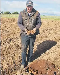 Local potatoes from paddock to chip packet - PressReader
