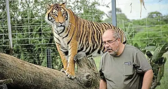 Owner of Sheba the tiger opens up about cat’s escape - PressReader