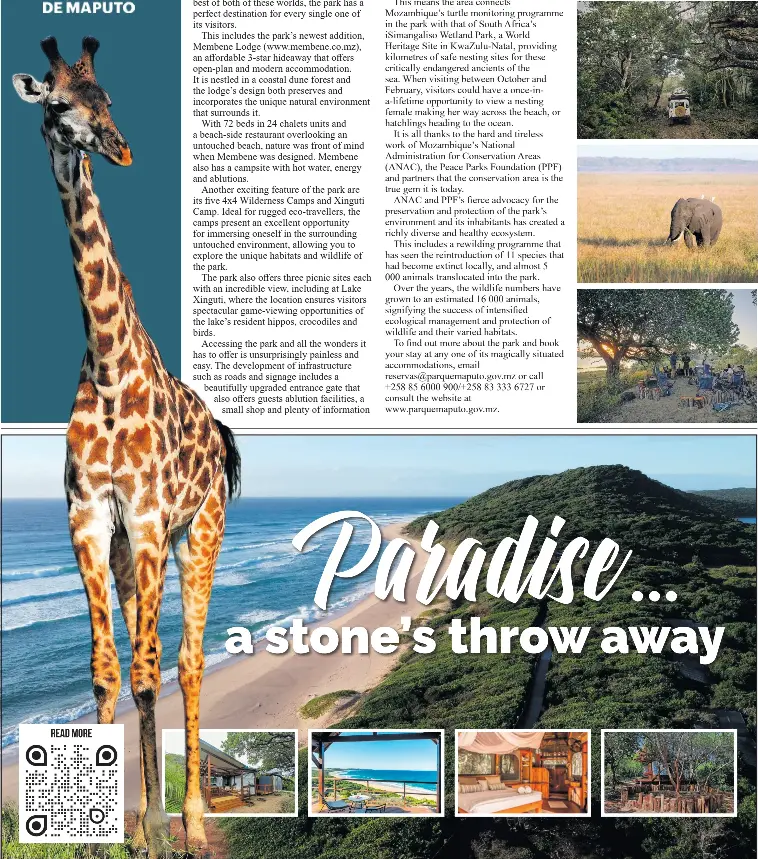 Maputo National Park: A magical destinatio­n awaits you - PressReader