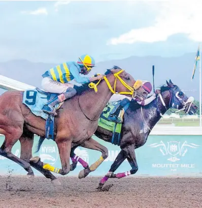 Walker claims World Vet Day Trophy aboard Sheer Delight - PressReader