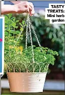 Baskets bring some serious kerb appeal | Stirling Observer | PressReade­r