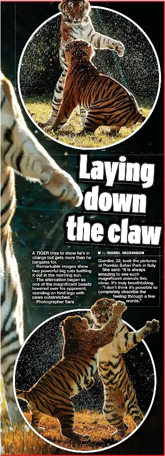 Laying down the claw - PressReader
