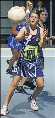 Pigeons strong day on court - PressReader
