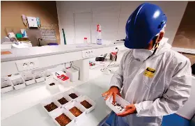 French start-up Ynsect to build world’s biggest bug farm - PressReader