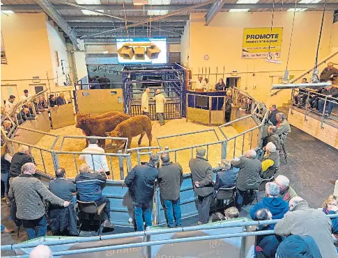 Sales prices up but input costs on rise - PressReader