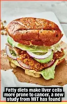 FAT FEEDS CANCER FEARS - PressReader