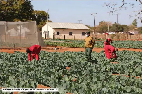 Prisoner population increase breaks downward trend - PressReader
