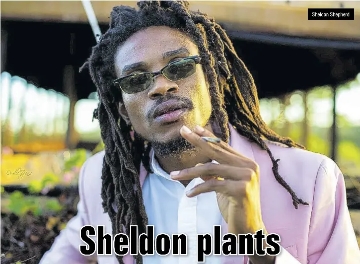 Sheldon plants ‘Seeds of Hope’ - PressReader
