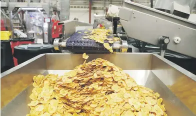 Filler multiplica su producción en Naguabo - PressReader