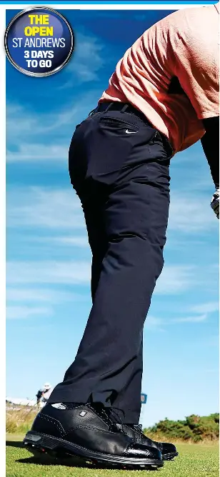 TIGER’S SUNNY DELIGHT - PressReader