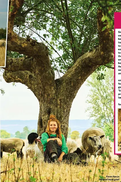 Don’t Feed The Foxes! - PressReader