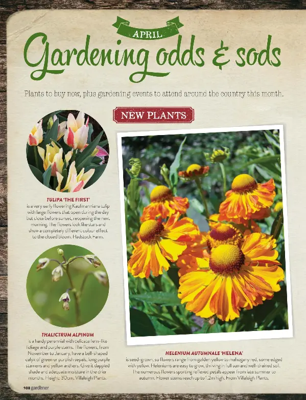 Gardening odds & sods - PressReader