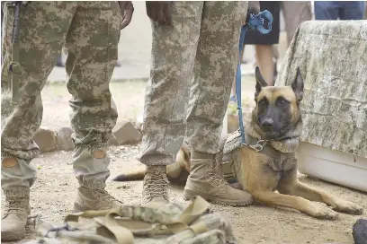 Crime takes over in Kruger Park - PressReader