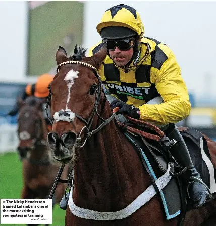 Lulamba’s backed to provide for Nicholls - PressReader