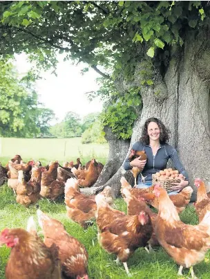 Judges impressed by egg-cellent designs - PressReader