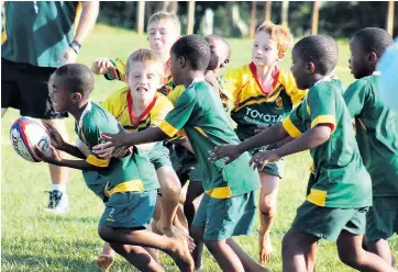 Winter sport buzz at Heuwelland Primary - PressReader