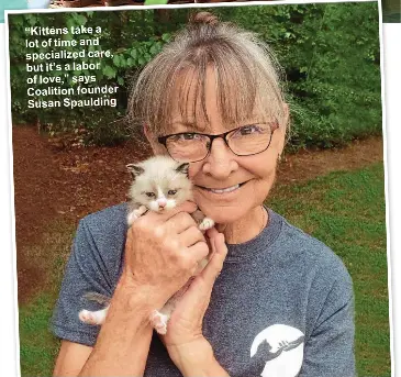 Her love and can- do attitude have saved thousands of kittens ...