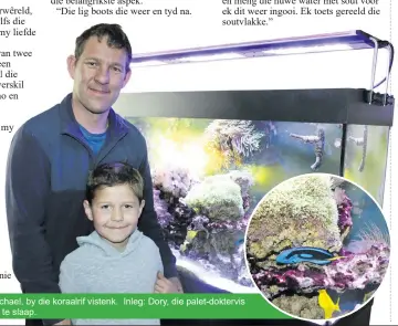 Nemo én Dory hier in Polokwane - PressReader
