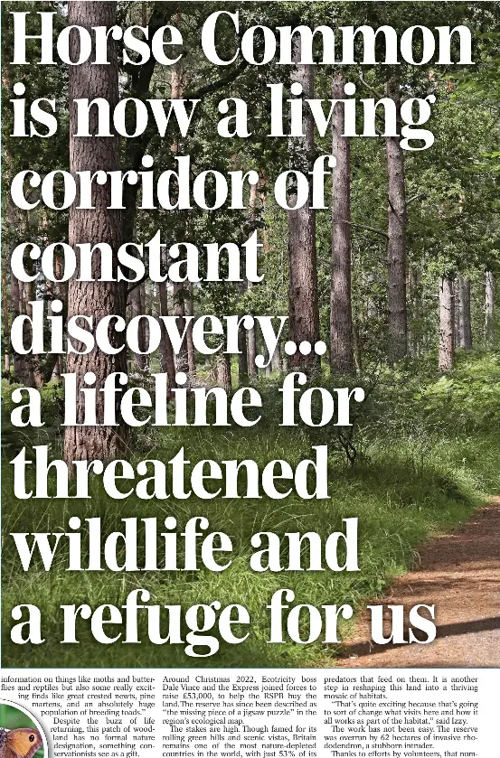 Horse Common is now a living corridor of constant discovery... a lifeline for threatened ...
