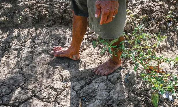 Filipino farmers struggle as drought and heatwave hit - PressReader