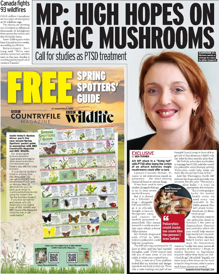 MP: HIGH HOPES ON MAGIC MUSHROOMS - PressReader