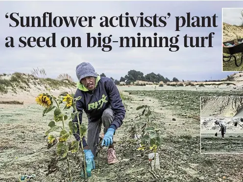 ‘Sunflower activists’ plant a seed on big-mining turf - PressReader
