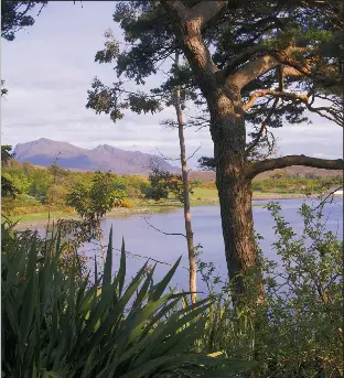 Garden is a true triumph of human ingenuity - PressReader