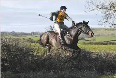 A FLEETING VISIT - PressReader