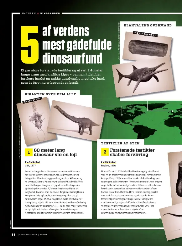 5 af verdens mest gådefulde dinosaurfu­nd - PressReader