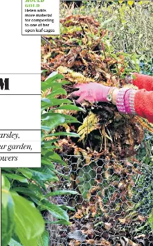 HELEN YEMM THORNY PROBLEMS - PressReader