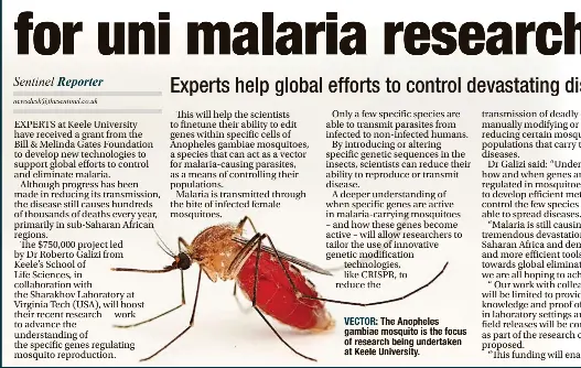GATES FOUNDATION FUNDING BOOST FOR UNI MALARIA RESEARCH PROJECT ...