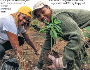 Tree-mendous forest revival effort - PressReader