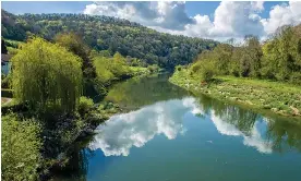 WWF shelved report exposing River Wye pollution ‘to keep Tesco happy ...