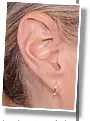 The mystery of Gwynnie’s missing earlobe - PressReader
