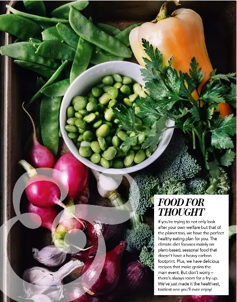 FOOD FOR THOUGHT - PressReader