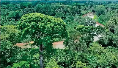 Darién Norte Chocoano ahora es Reserva de Biósfera - PressReader