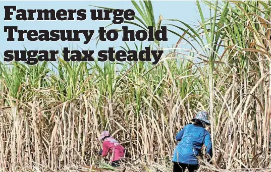 Farmers urge Treasury to hold sugar tax steady - PressReader