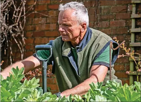 Steve’s back up and running - PressReader