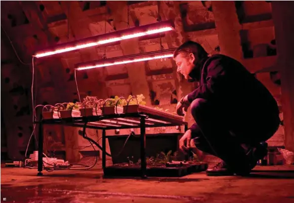 Farming IN the Concrete Jungle - PressReader