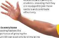 Mmusi Maimane’s Bosa wants jobs above all else - PressReader