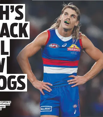 SMITH’S SETBACK CRUEL BLOW TO DOGS - PressReader