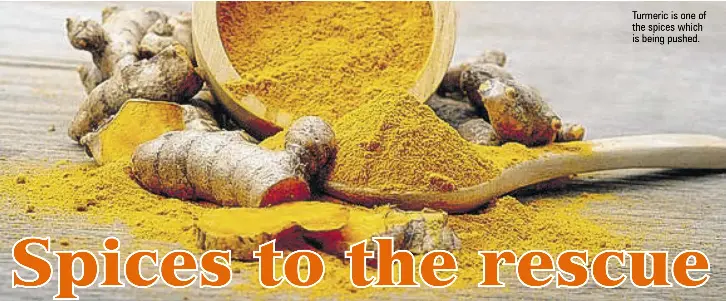 Spices to the rescue - PressReader
