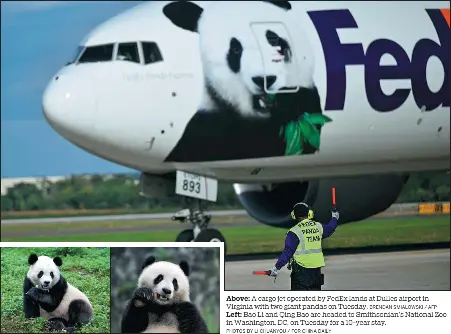 Washington welcomes two new giant pandas - PressReader