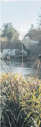 Inspiratio­nal 11-year-old is tra - PressReader