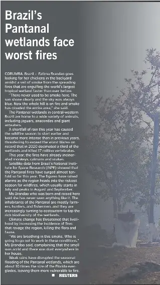 Brazil’s Pantanal wetlands face worst fires - PressReader