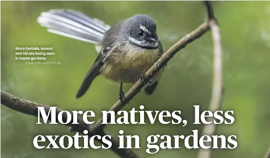 More natives, less exotics in gardens - PressReader