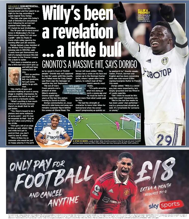 Willy’s been a revelation ... a little bull - PressReader