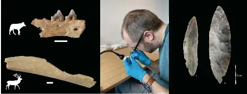 Human fossil discovery upends history of Palaeolith­ic Europe - PressReader