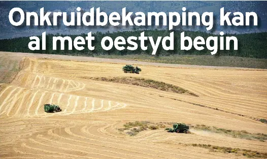 Wintergraa­n: Bekamp onkruid reeds met oestyd - PressReader