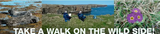 TAKE A WALK ON THE WILD SIDE! - PressReader